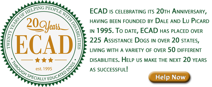 ECAD - Home